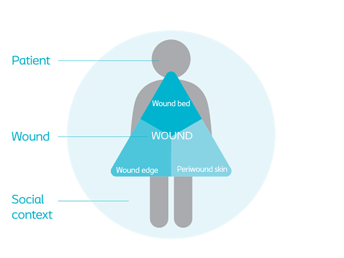 Holistic Wound Assessement